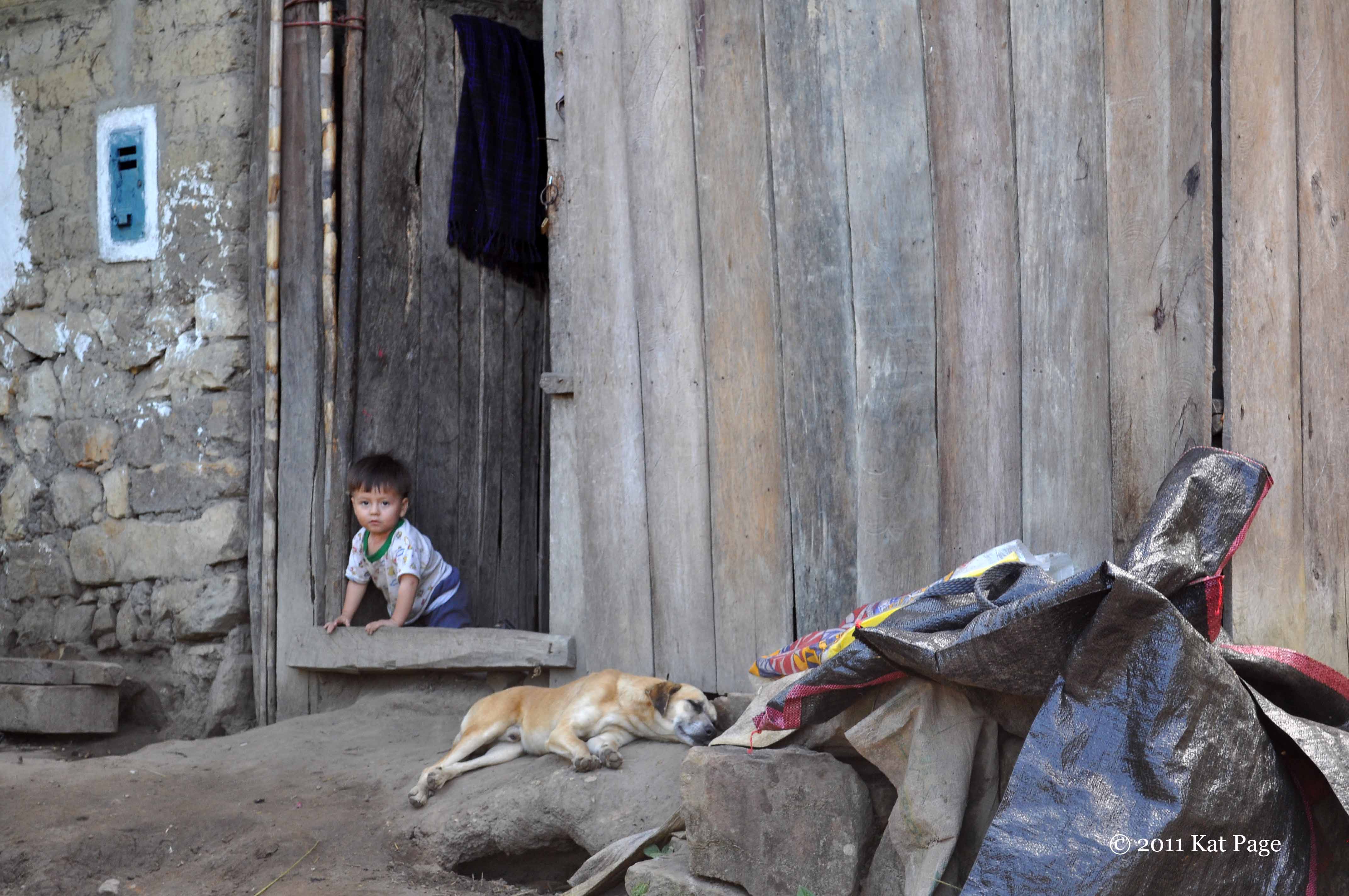 Peruvian Country Dogs--City Dogs – FortunatoNo4