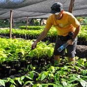 The Rambling Man – FortunatoNo4