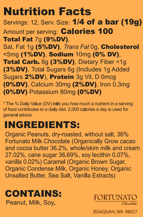 Fortunato Caramel Peanut Milk Chocolate Bars – FortunatoNo4